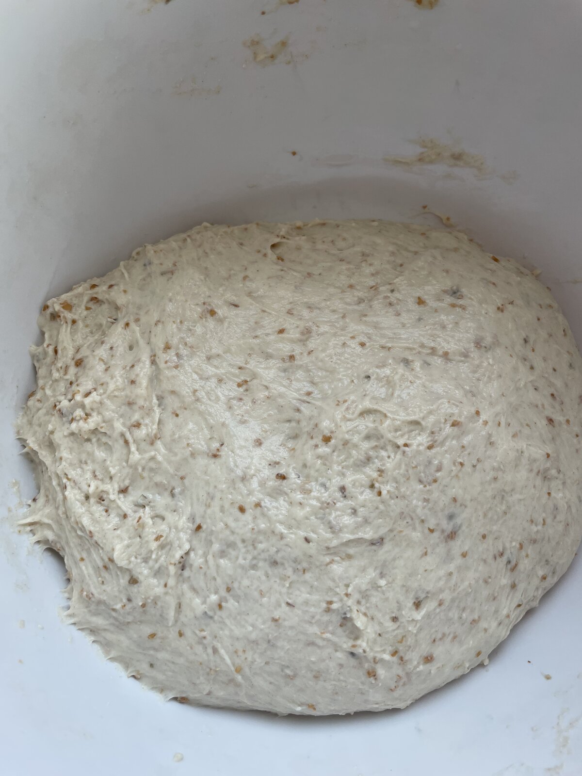 Sour dough bread | Page 4 | DIYnot Forums