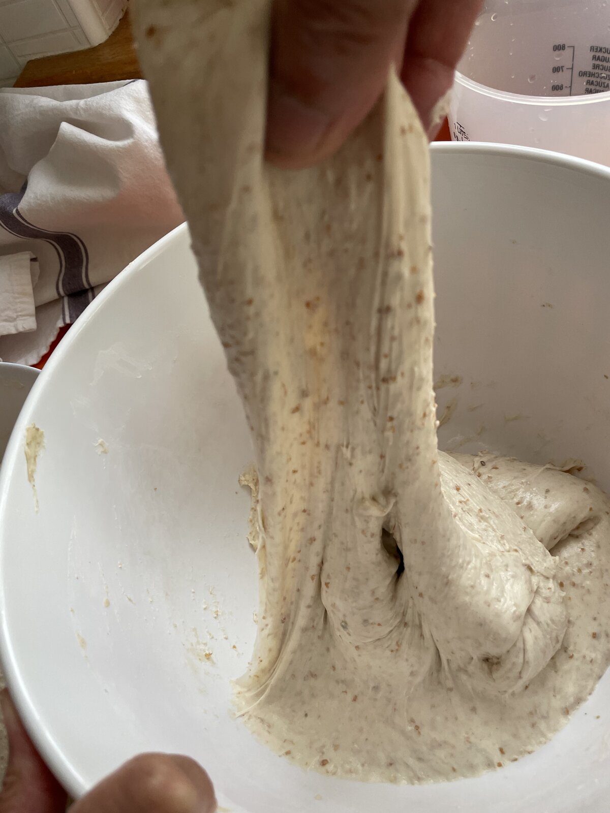 Sour dough bread | Page 4 | DIYnot Forums