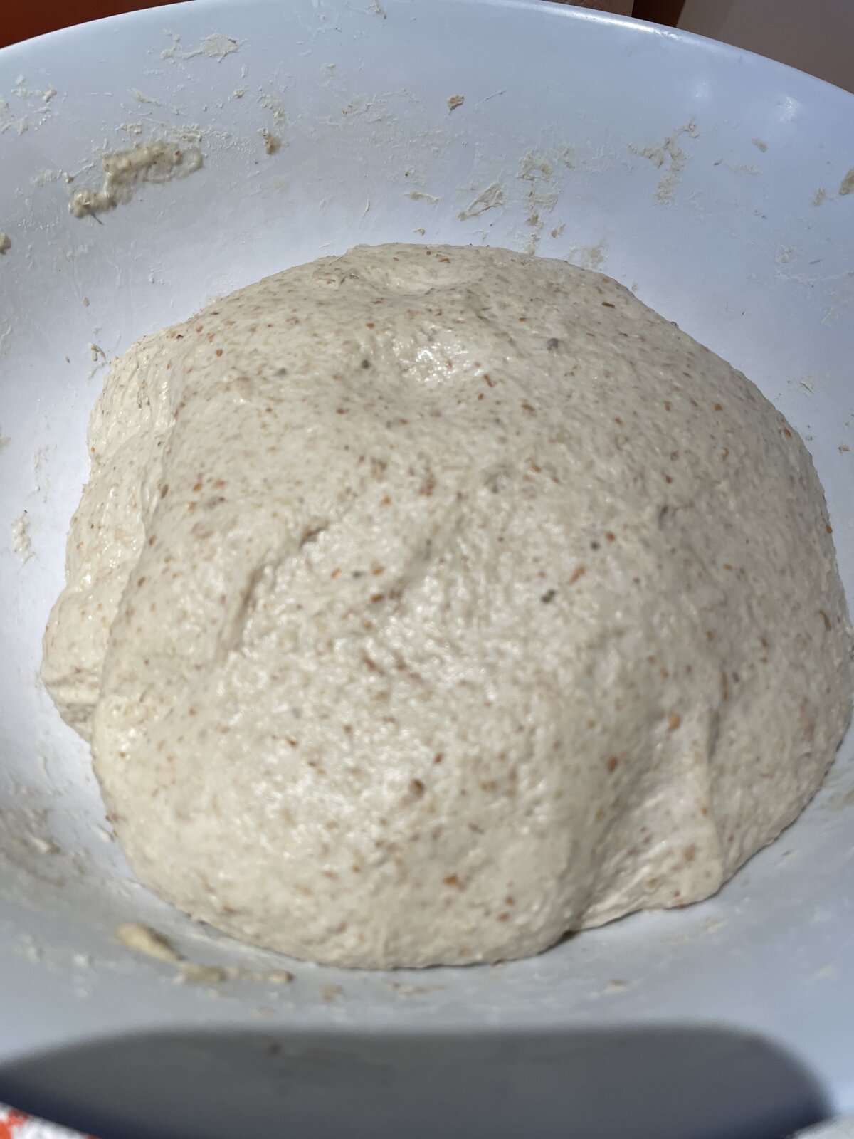Sour dough bread | Page 4 | DIYnot Forums