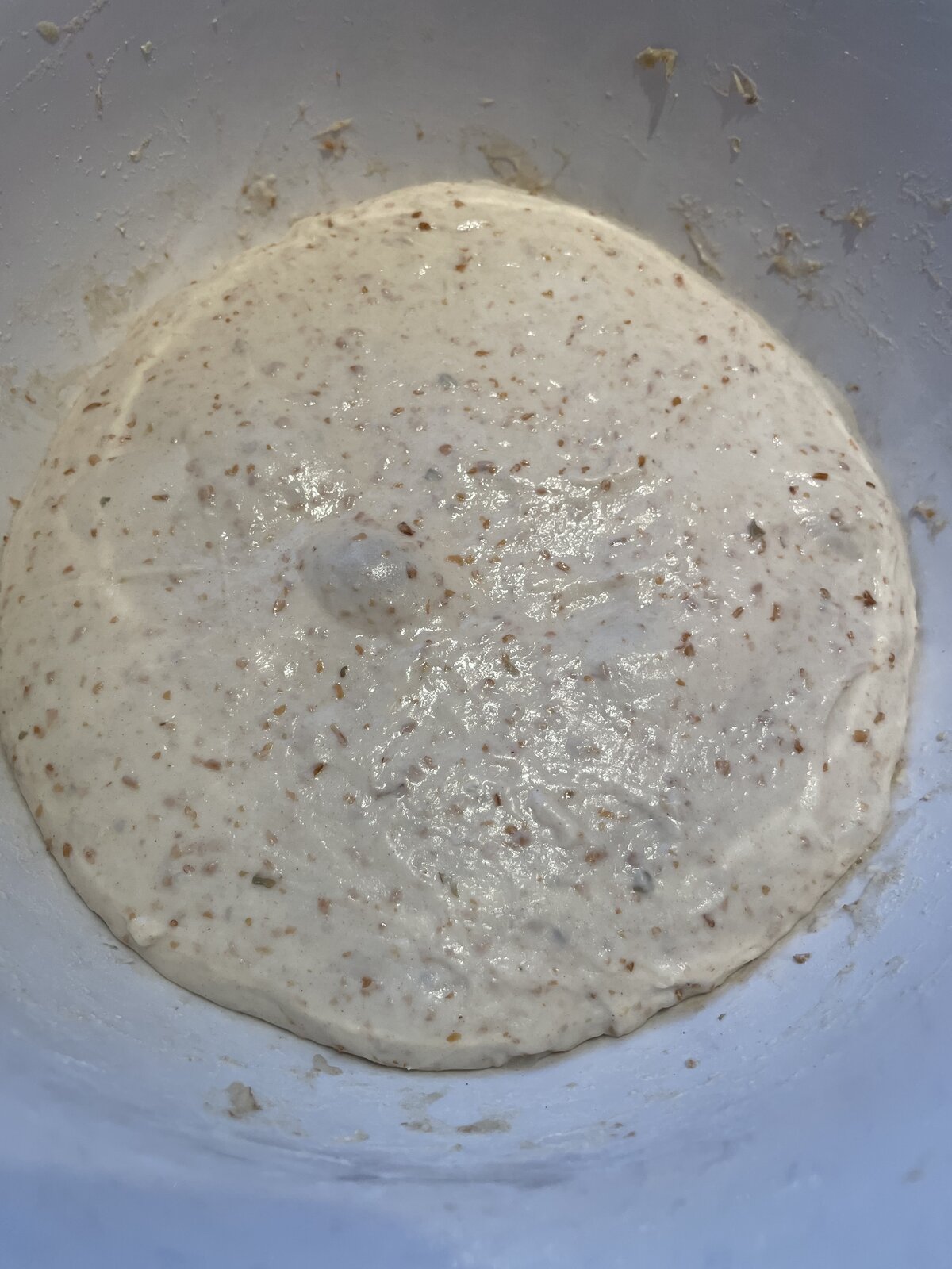 Sour dough bread | Page 4 | DIYnot Forums