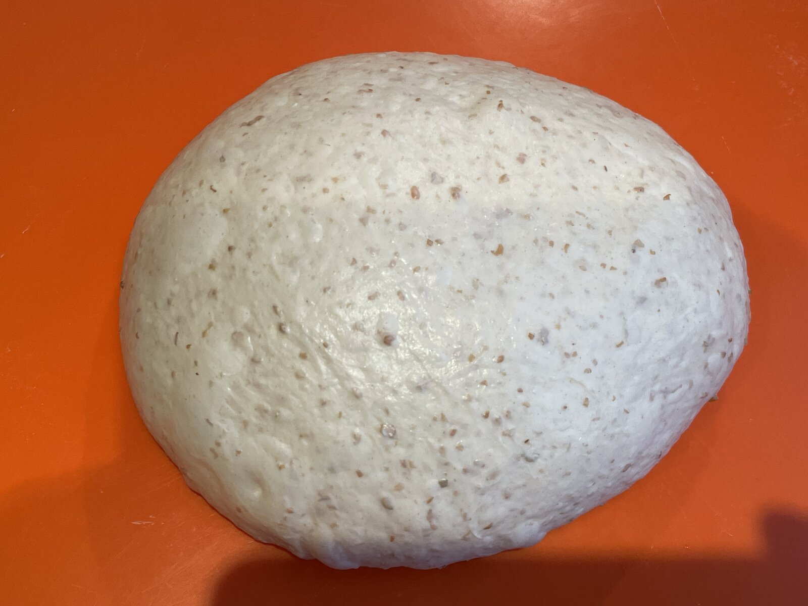 Sour dough bread | Page 4 | DIYnot Forums