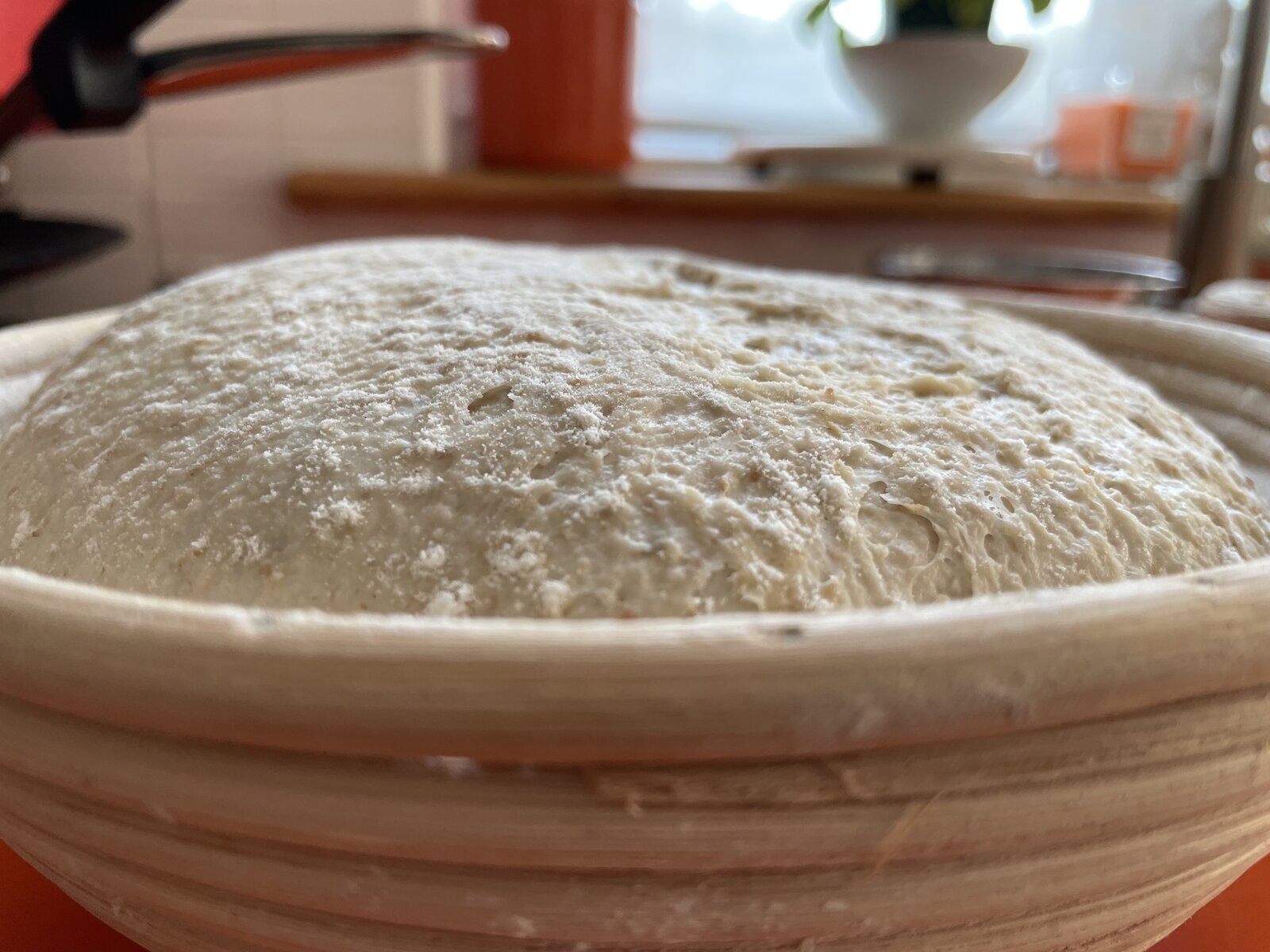 Sour dough bread | Page 4 | DIYnot Forums