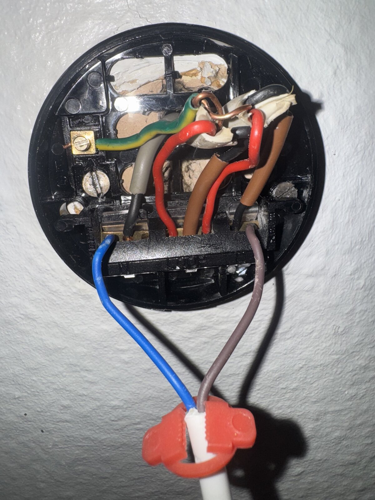 How to connect a replacement ceiling rose (Ed.) | DIYnot Forums