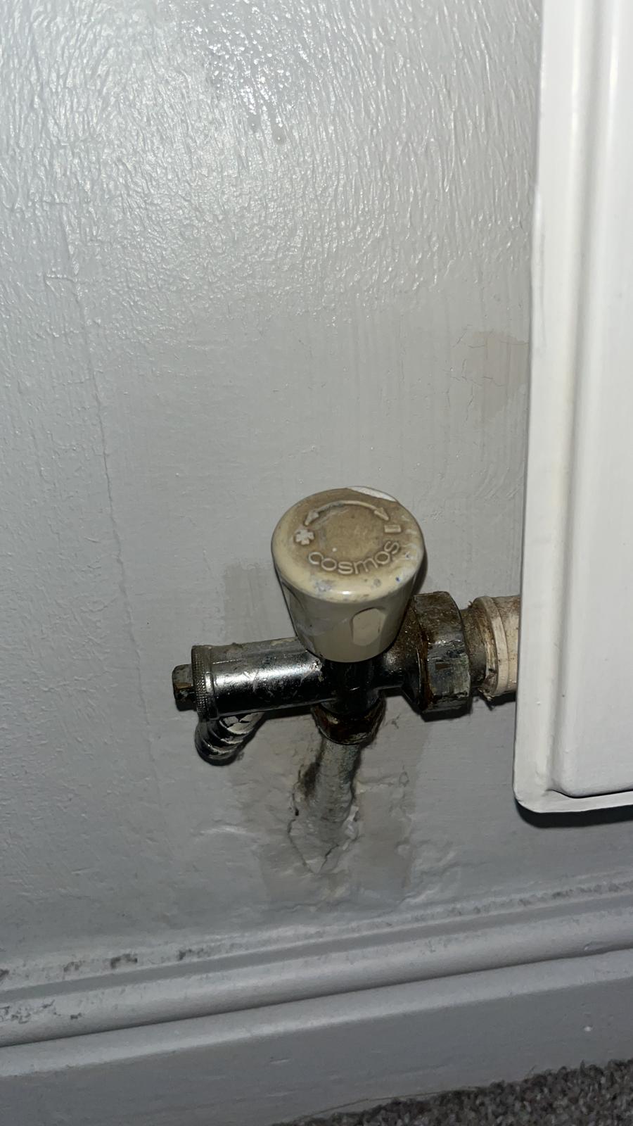 Potential problem adding TRVs ? | DIYnot Forums