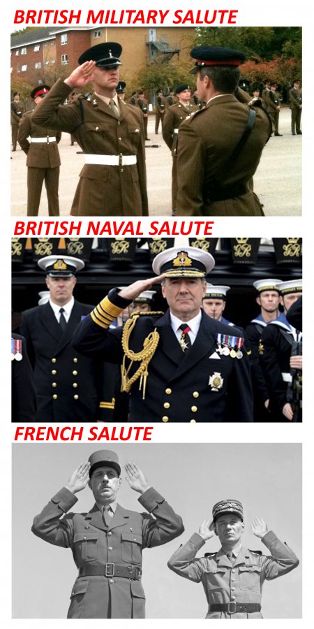 Salutes compared | DIYnot Forums