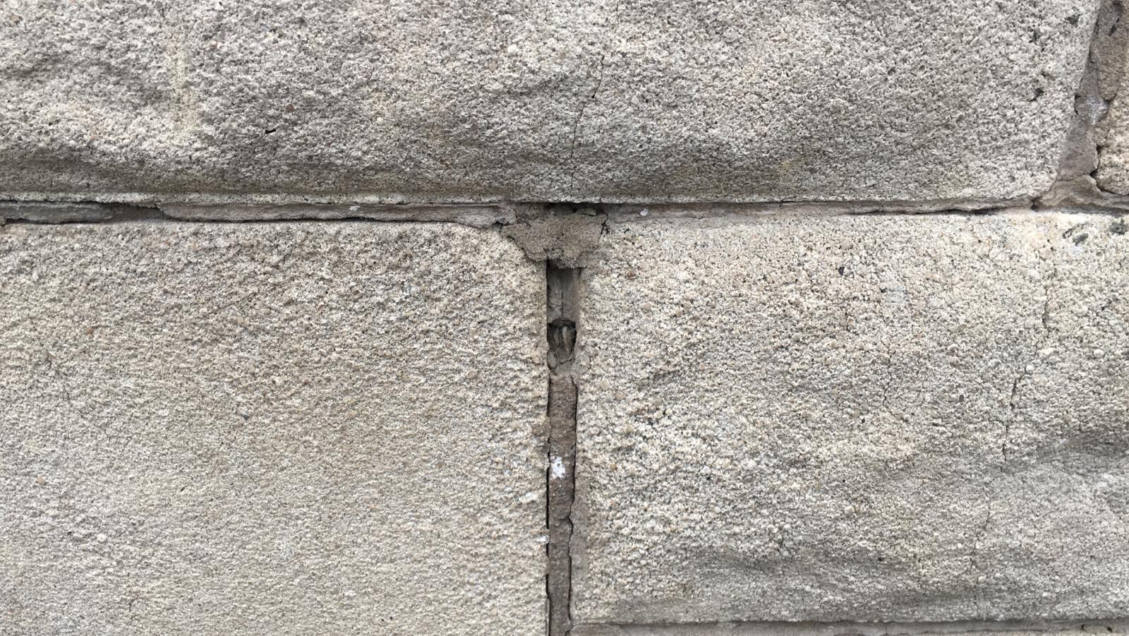 pointing when roughcasting? | DIYnot Forums