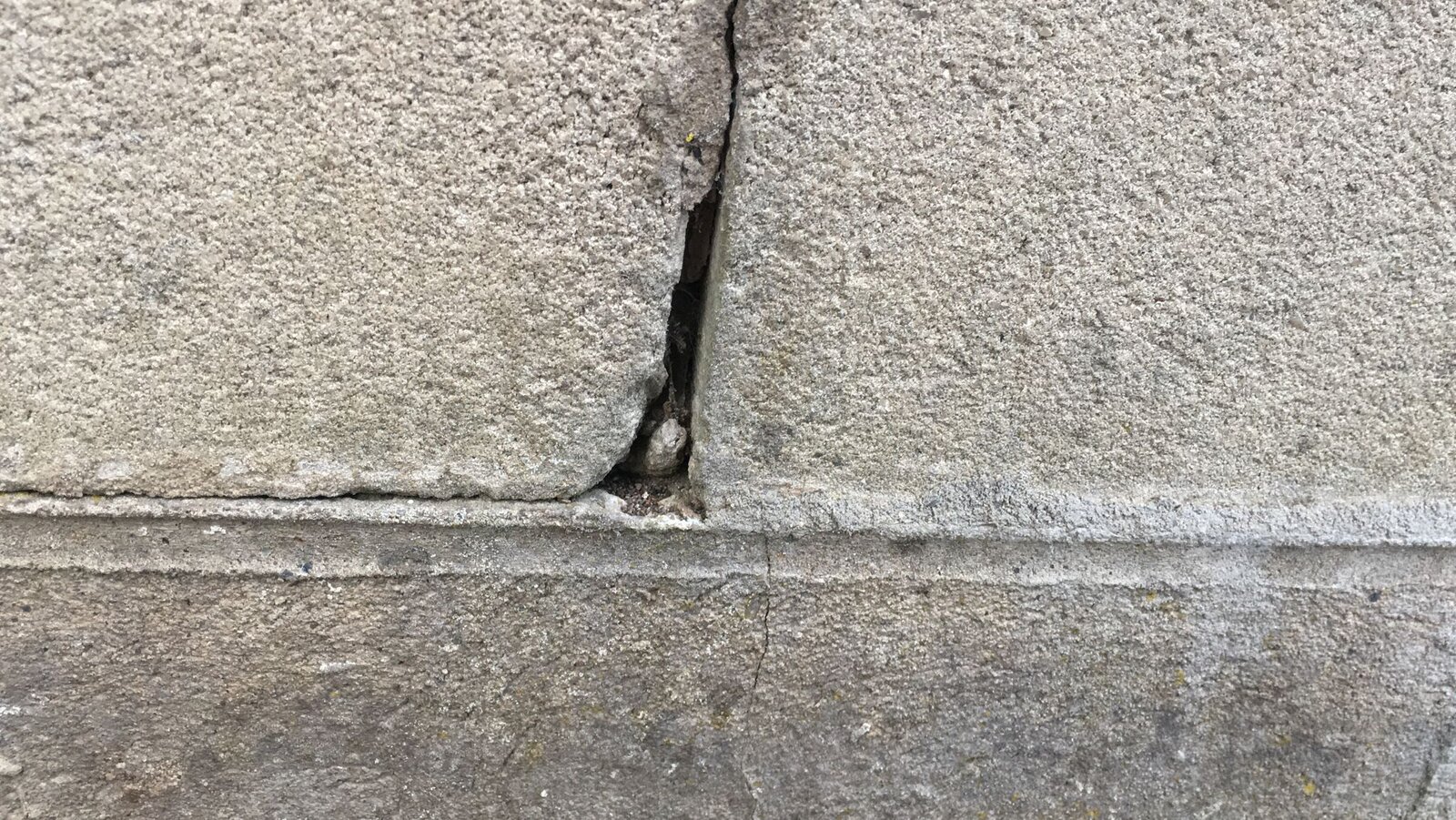 pointing when roughcasting? | DIYnot Forums