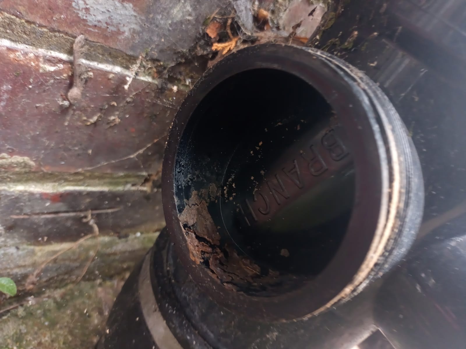 Sewage nightmare outdoor drain by kitchen | DIYnot Forums