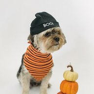 Insulating behind UPVC Cladding | DIYnot Forums