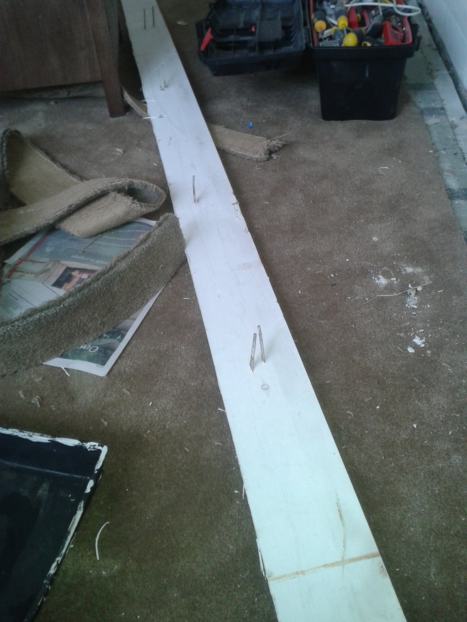 Is this a normal method if fixing skirting with these??? | DIYnot Forums