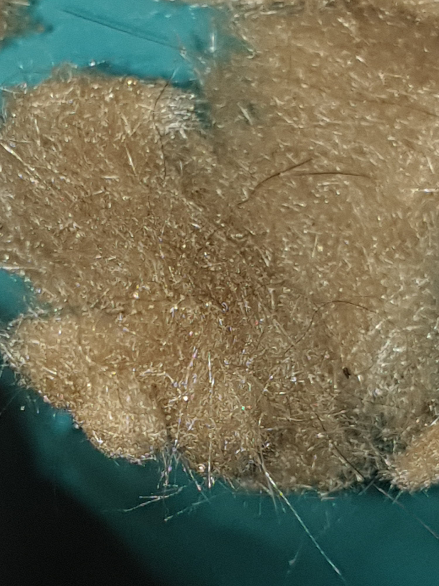 Identification of hot water tank jacket/insulation | DIYnot Forums