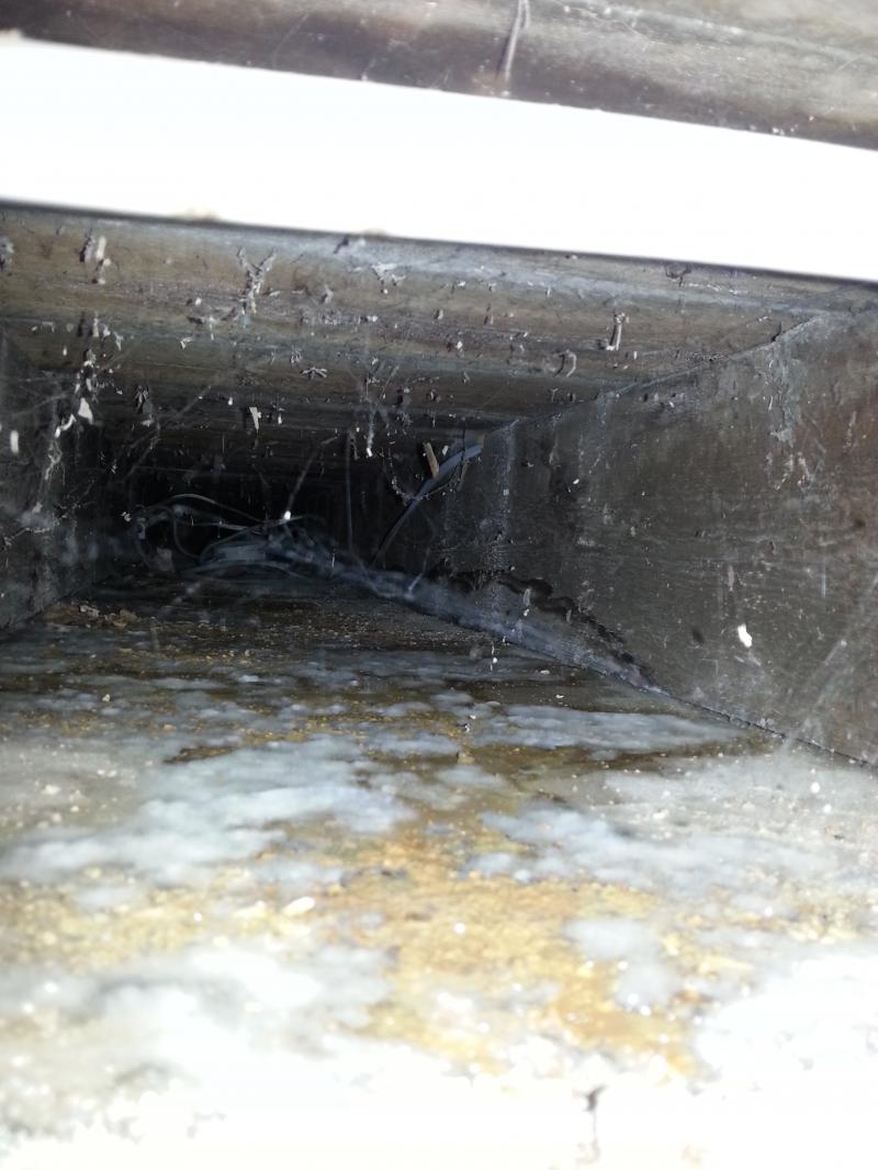 Ceiling void | DIYnot Forums