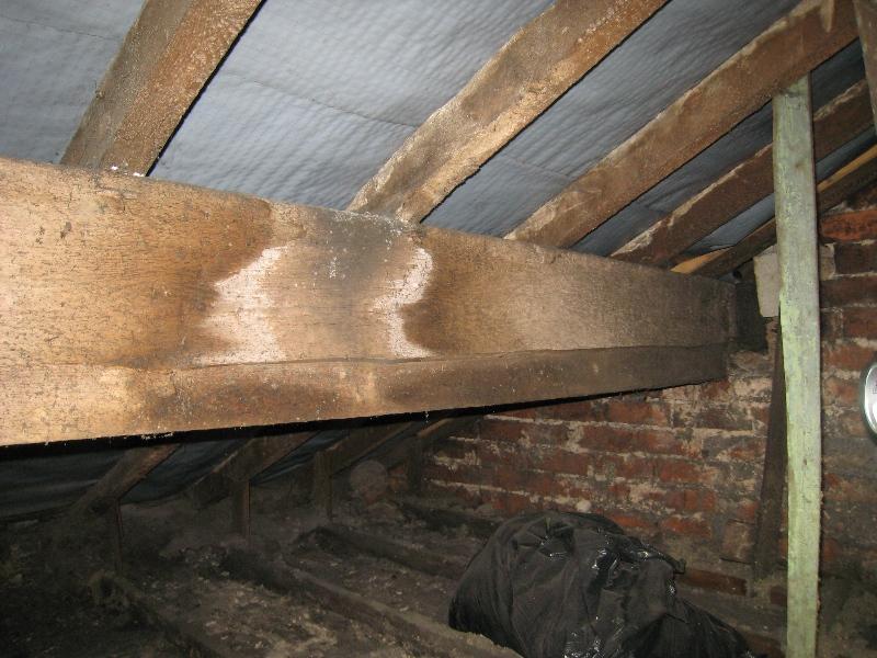 Log Purlins Timber Purlin 50 X 76