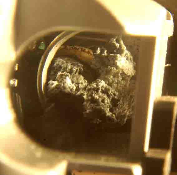 Exploding Mouse | DIYnot Forums