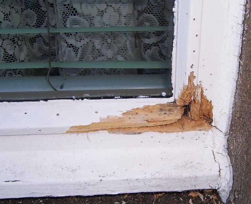 Bad Rot On Window Frame | DIYnot Forums