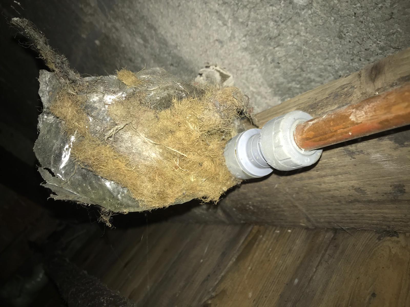 Is this Asbestos pipe lagging in crawlspace? | DIYnot Forums