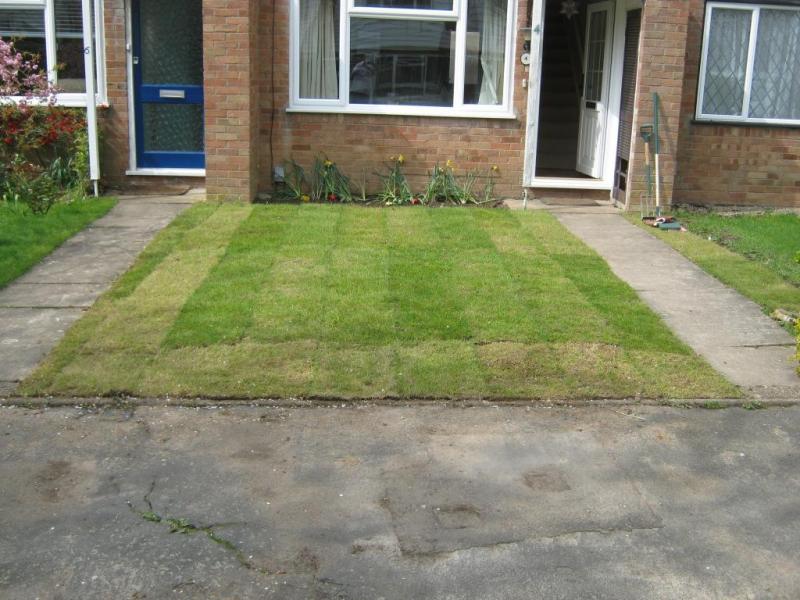 Lawn Help - I've been ripped off! | DIYnot Forums