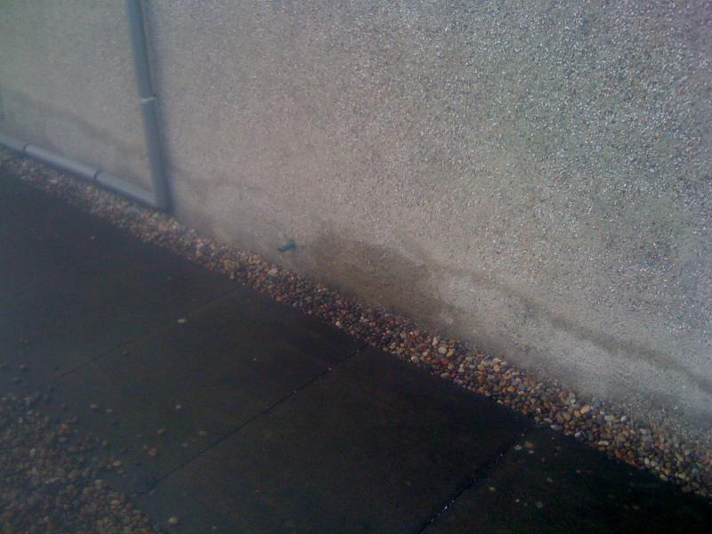 Roughcasting problem | DIYnot Forums