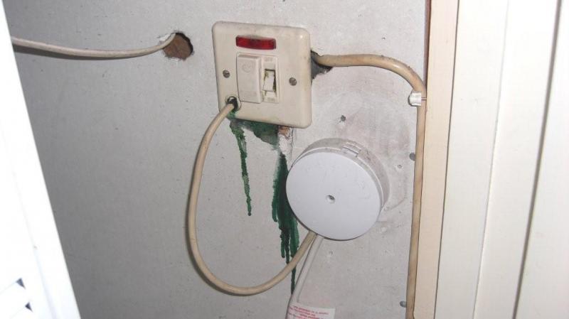 Weird Green Stuff coming from T+E cable | DIYnot Forums