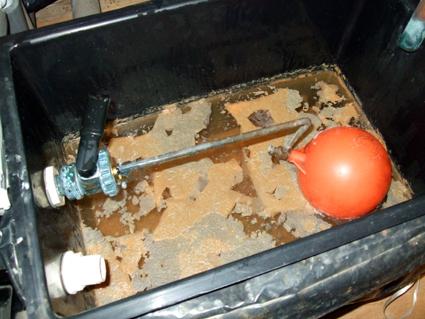 gunge in f/e tank | DIYnot Forums