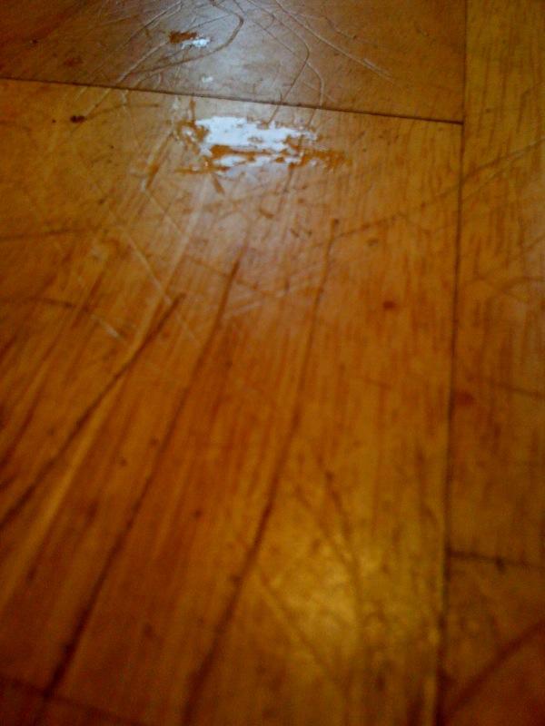 Scratched Oak Floor... | DIYnot Forums