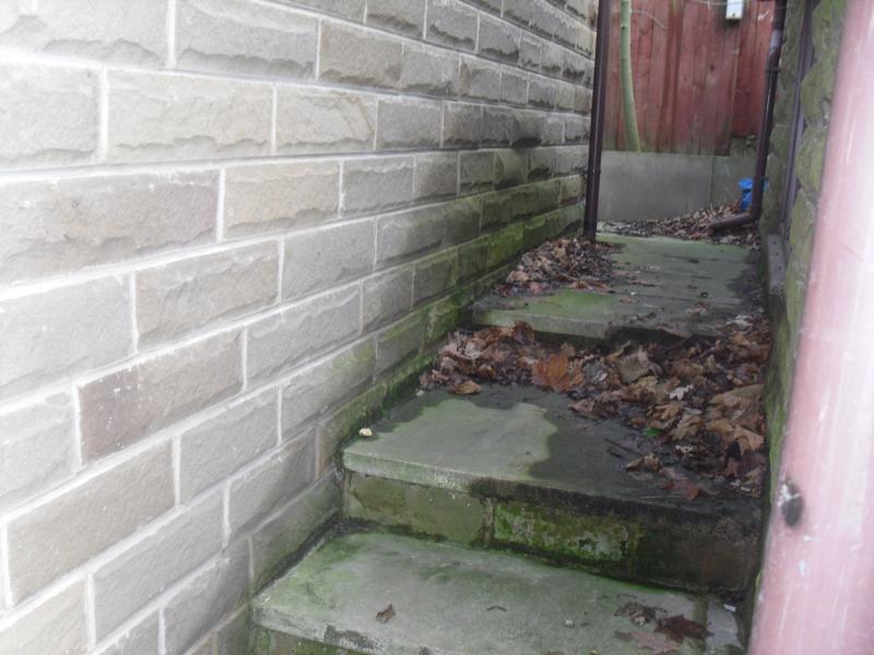 Path above DPC advise required | DIYnot Forums