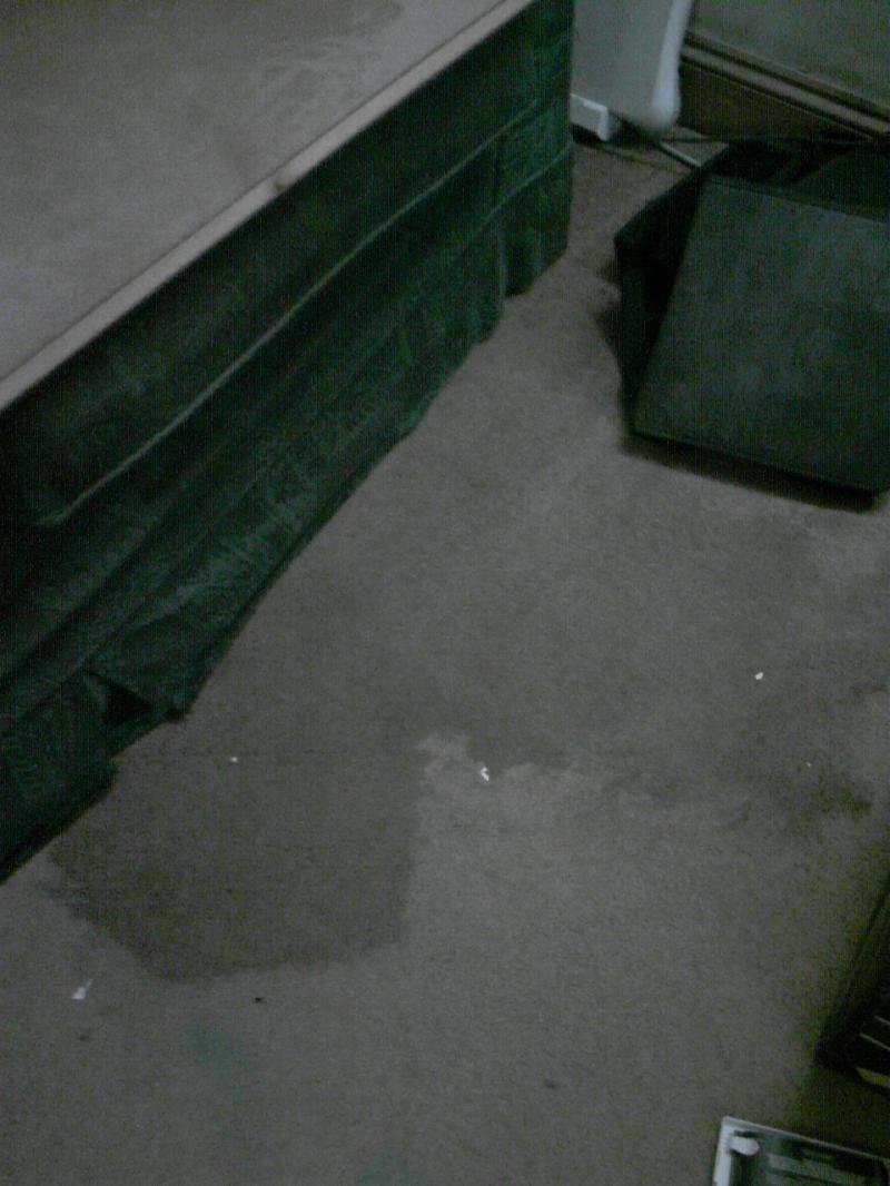 Mystery Damp Patch | DIYnot Forums