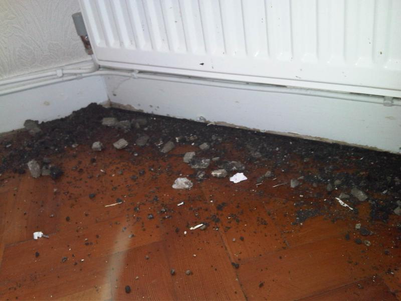 Bay damp at floor level - possible causes? | DIYnot Forums