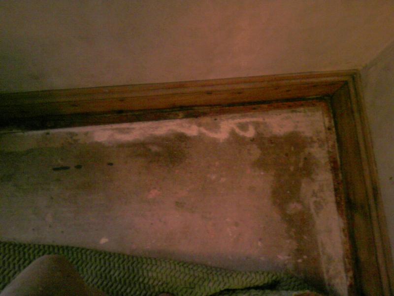 Mystery Damp Patch | Page 2 | DIYnot Forums