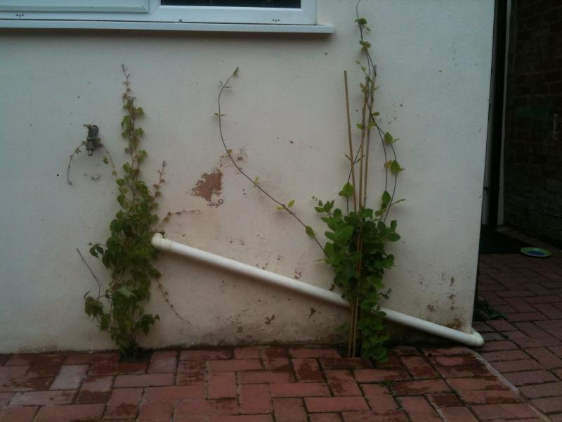 Paint falling off exterior wall | DIYnot Forums