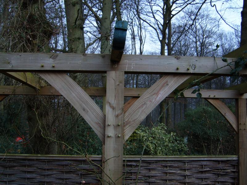 Pergola | DIYnot Forums