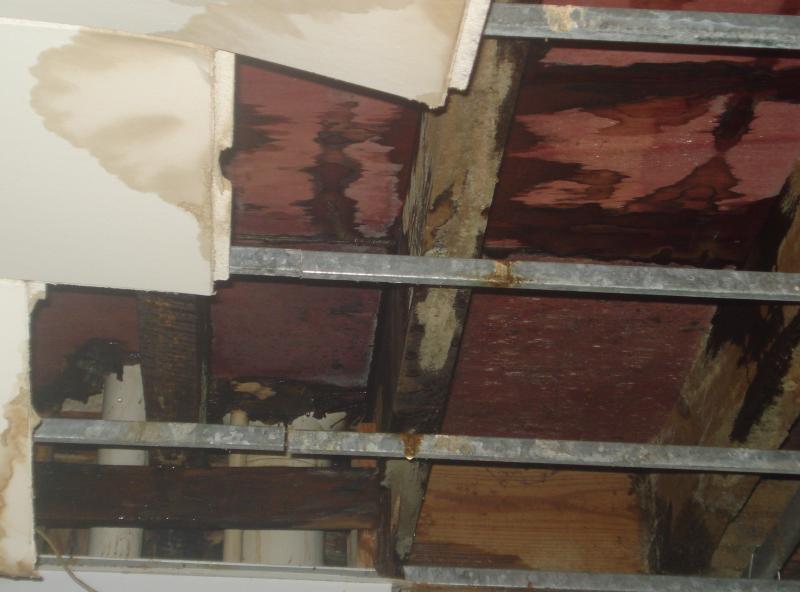 Replacing a wooden ceiling floor | DIYnot Forums