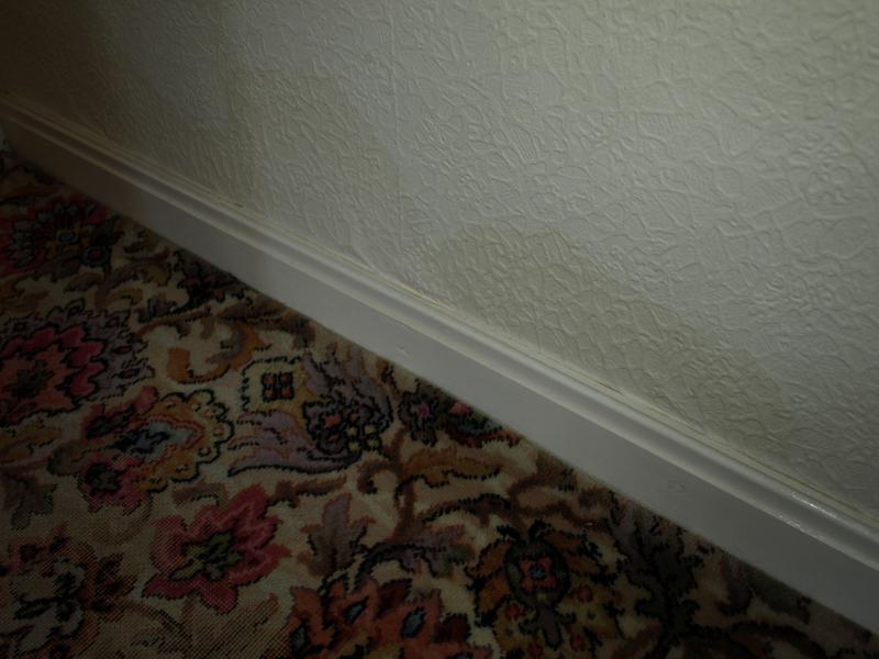 Damp | DIYnot Forums