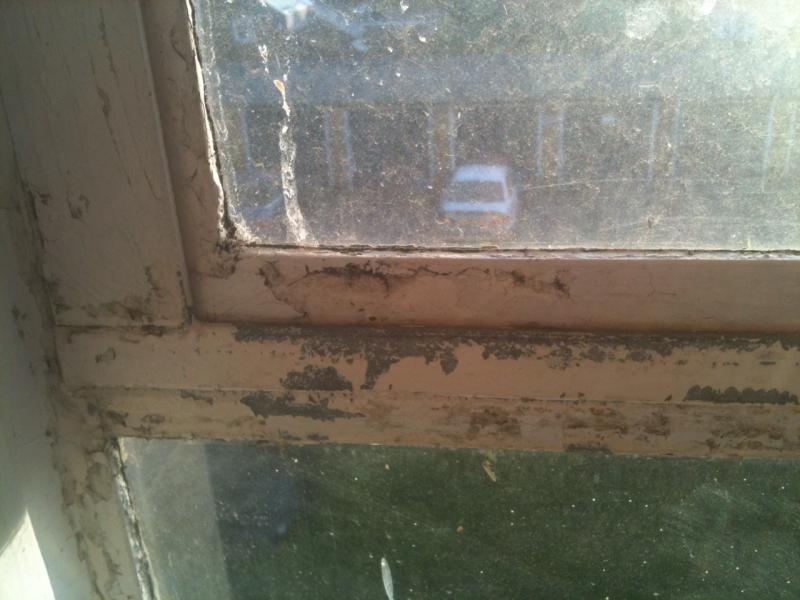 fixing up metal window frames | DIYnot Forums