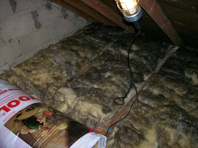 Installed Insulation in loft, appropriate gaps for wiring | DIYnot Forums