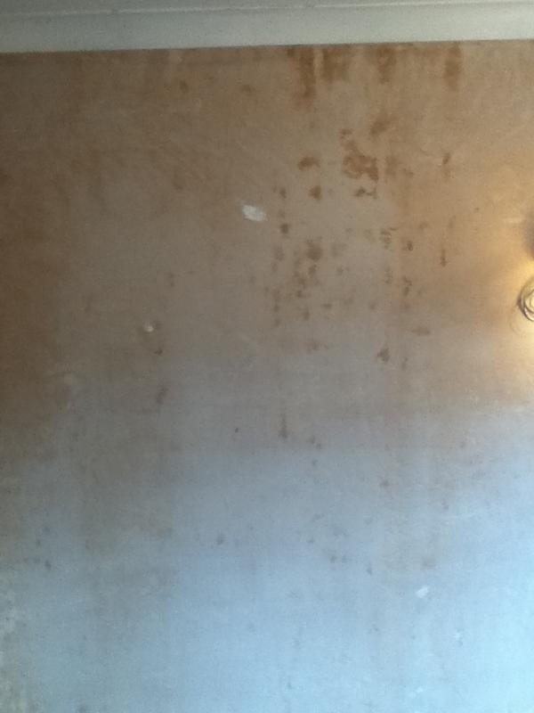 Are theses damp spots in my new plaster | DIYnot Forums