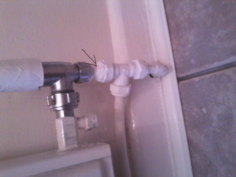 weeping rad tail | DIYnot Forums