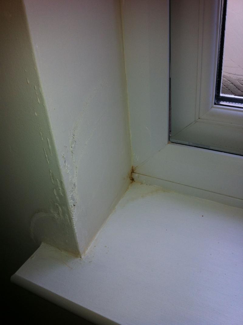 Leaking around the render on a new window | DIYnot Forums