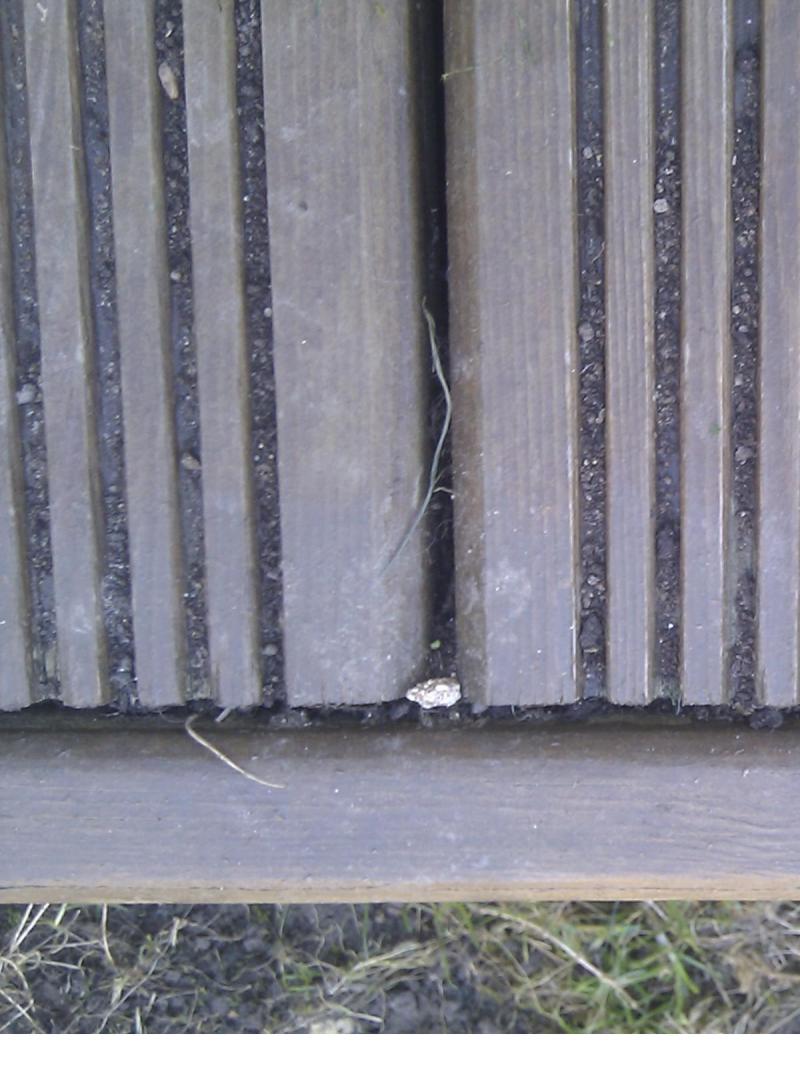 Can any one help if finding the Decking in this thread | DIYnot Forums