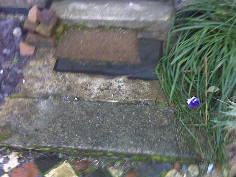 Waterproofing a coal cellar | DIYnot Forums