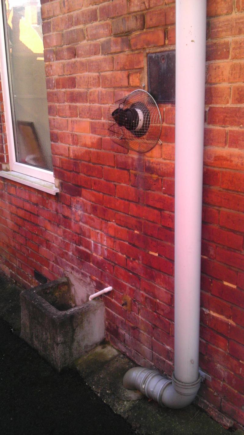 Damp on external wall | DIYnot Forums