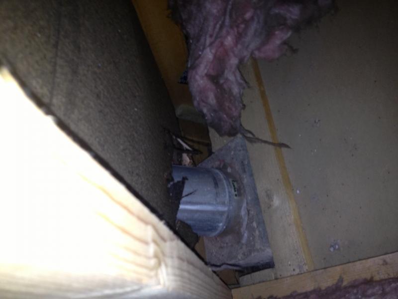 Damp wall issue | DIYnot Forums