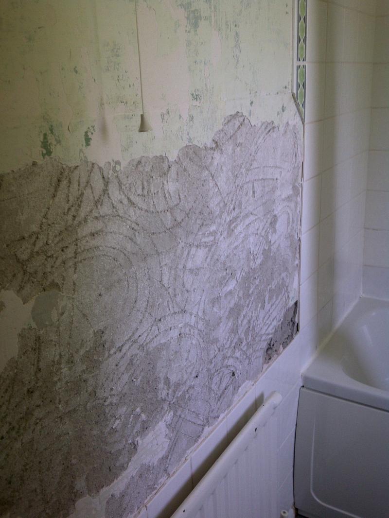 Another Bathroom plastering question | DIYnot Forums