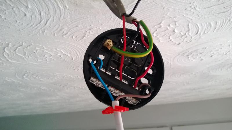 celing rose help | DIYnot Forums