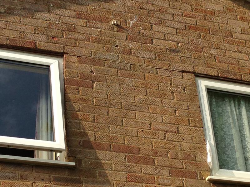 Lintel Repair | DIYnot Forums