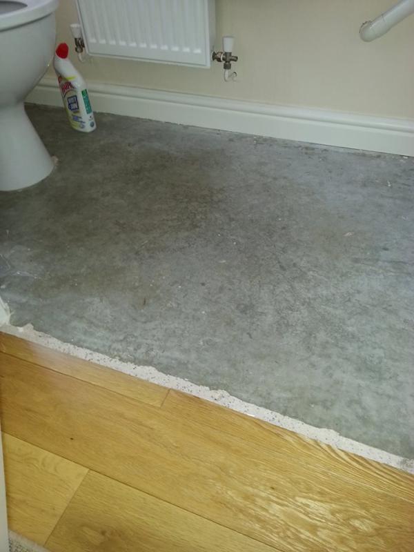 Downstairs toilet/cloakroom flooring | DIYnot Forums