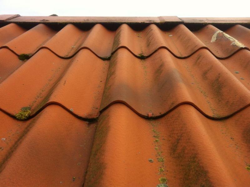 help to identify and replace tiles | DIYnot Forums