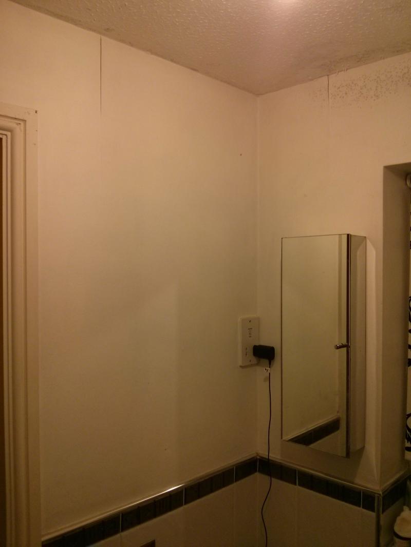 diy novice help for bathroom wall and ceiling | DIYnot Forums