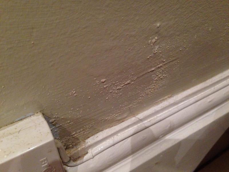 Is this damp? Or condensation? | DIYnot Forums