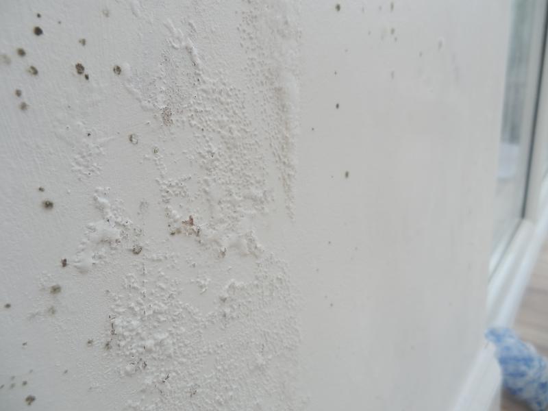 How to resolve damp patch | DIYnot Forums